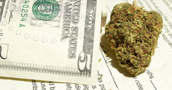 What Is a Zip of Weed and How Much Does it Cost?