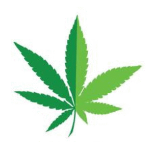Apple Tartz Marijuana Strain Information- Kif