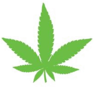 Strawberry Shortcake Marijuana Strain Information- Kif