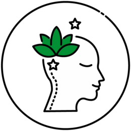 Apple Tartz Marijuana Strain Information- Kif