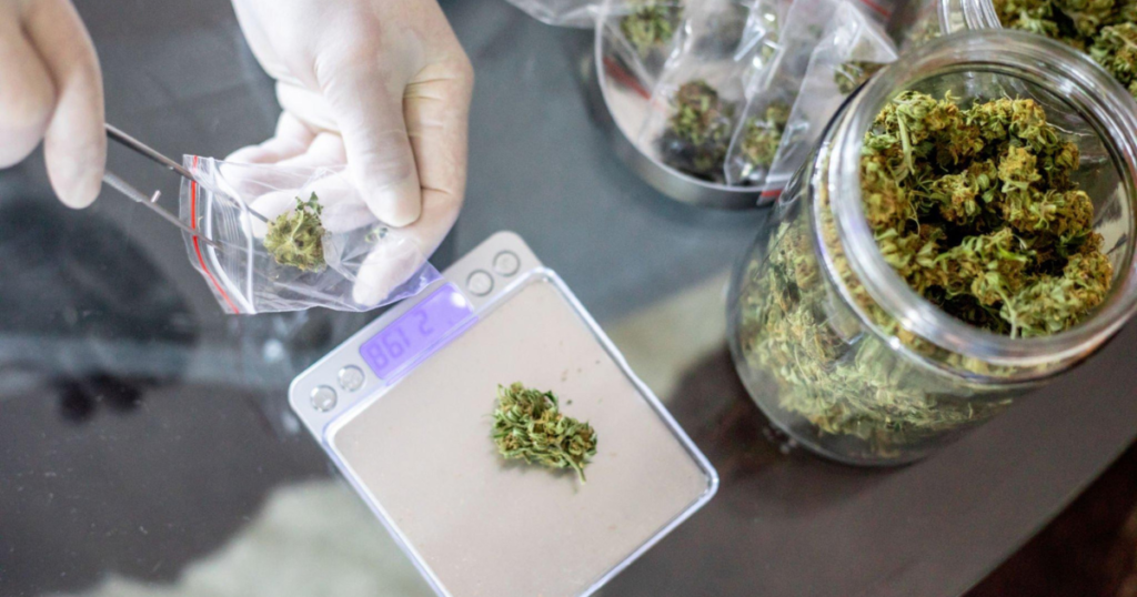 What Is A Quarter of Weed? How Much Weigh of a Quarter?