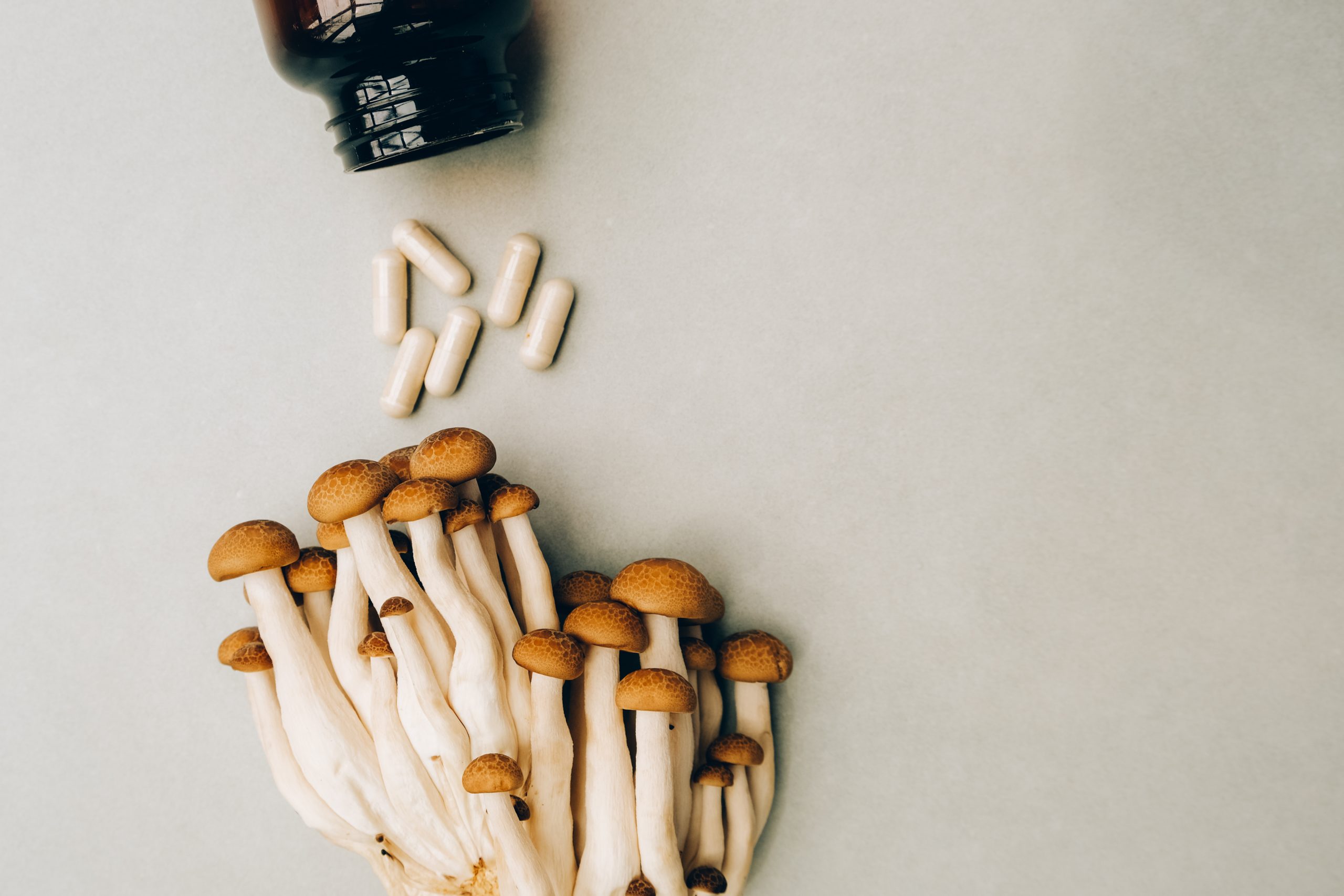 Best Magic Mushroom Strain: Top Picks for 2025 Now
