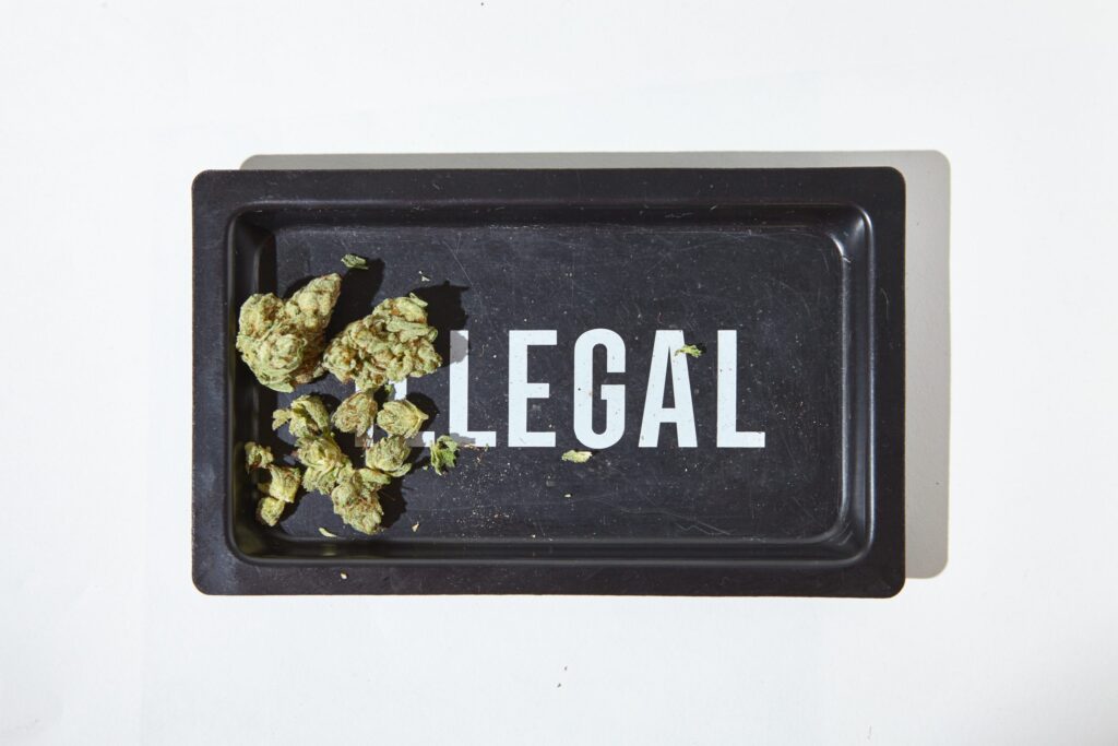 Is weed legal in Los Angeles? Everything you need to know