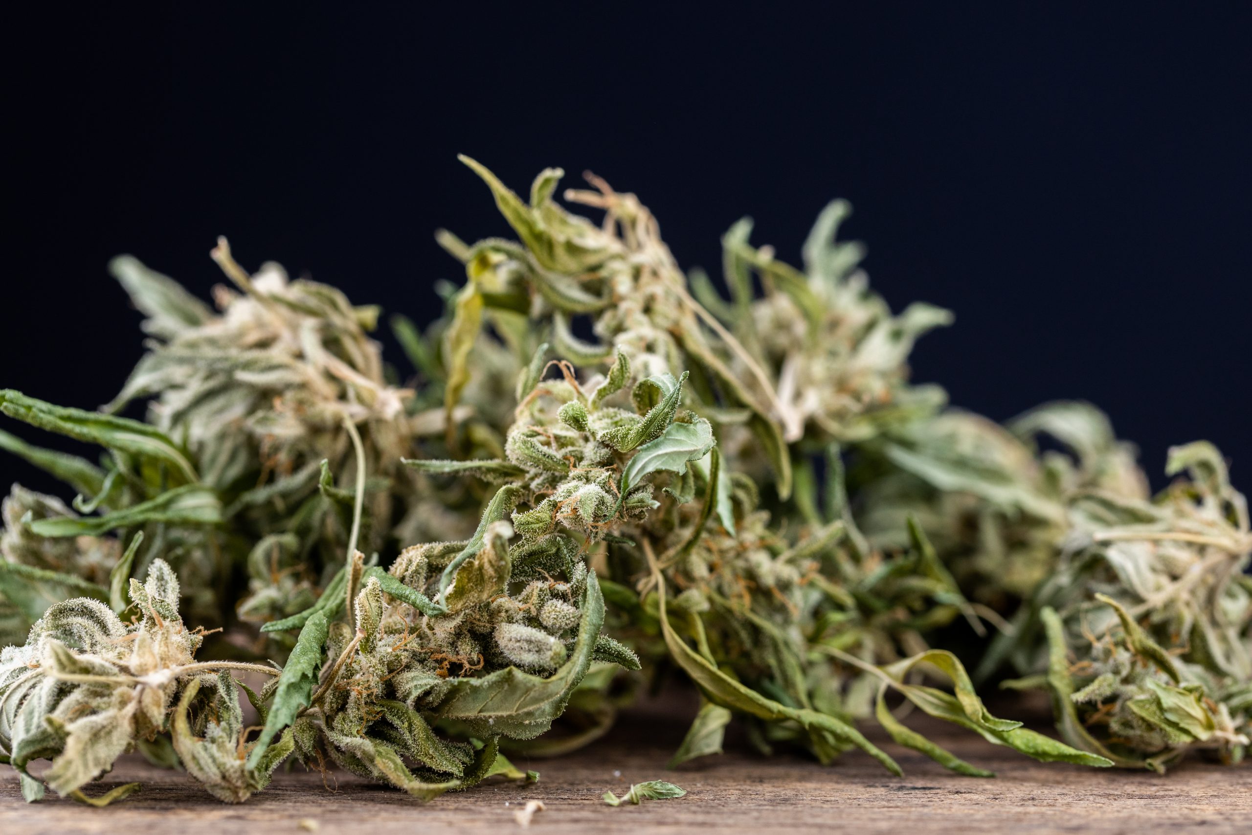 Top 10 Jack Herer Hybrid Strains to Try in 2025